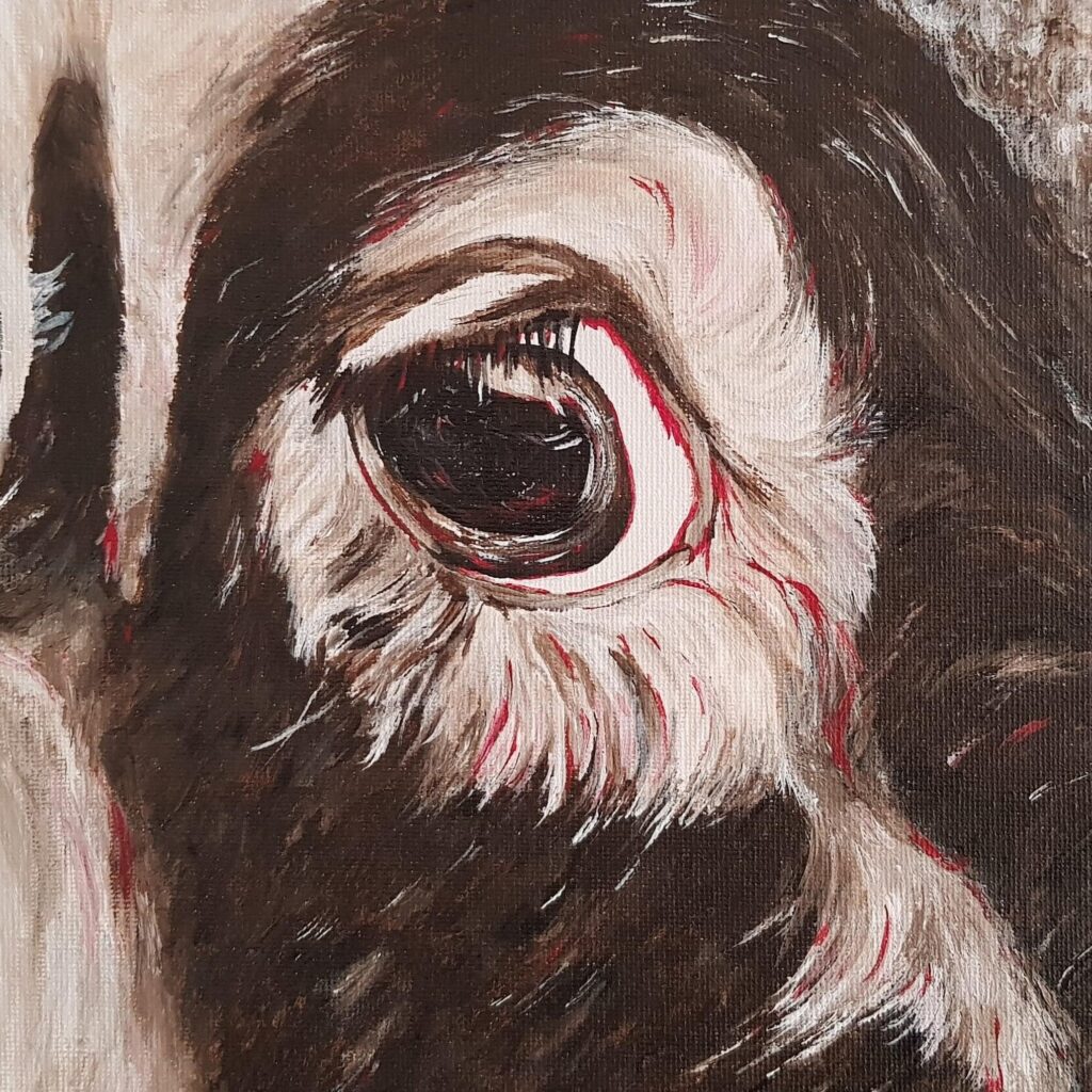 Amelia J. Zimmerman – The Art of Compassion Project