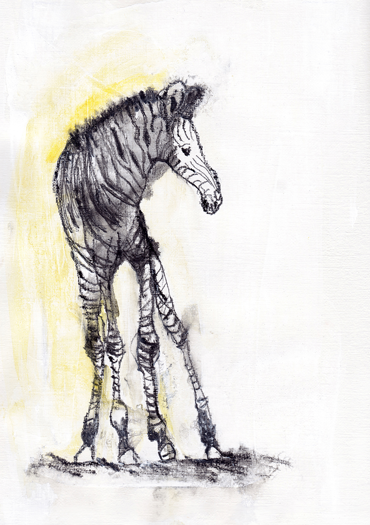 Bridget Irving – The Art of Compassion Project