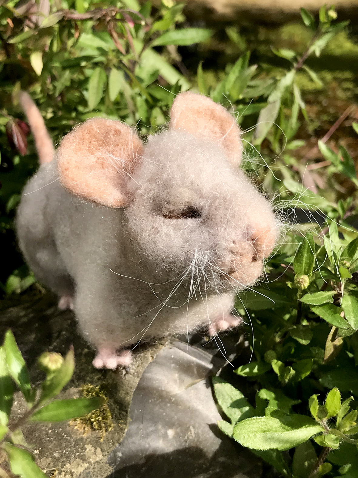 Troy Fox – The Art of Compassion Project