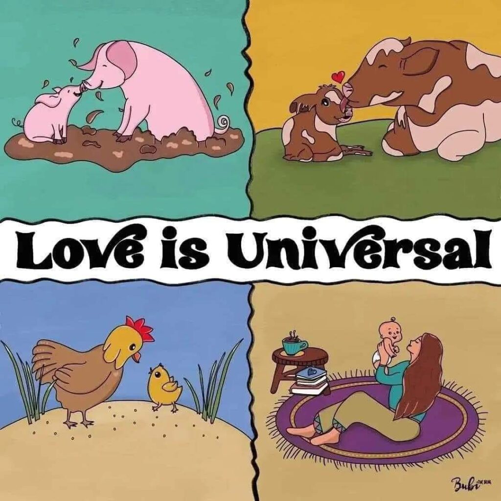 Bubi the Bear – The Art of Compassion Project